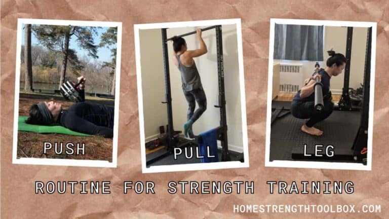 Push Pull Leg Routine For Strength Training: Ultimate Beginner Guide ...